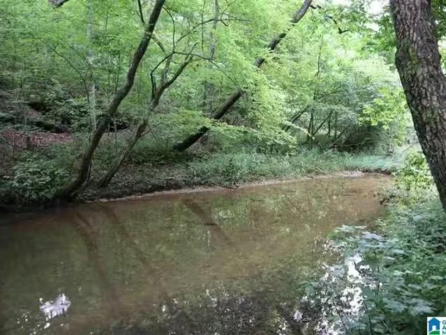 0 COUNTY ROAD 61 # 366.92 ACRES, FRUITHURST, AL 36262 Vacant L.