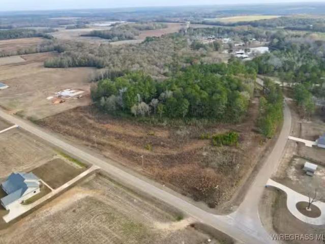 0 COUNTY ROAD 625, NEW BROCKTON, AL 36351