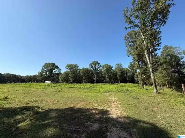 0 COUNTY ROAD 776 # 0, MONTEVALLO, AL 35115