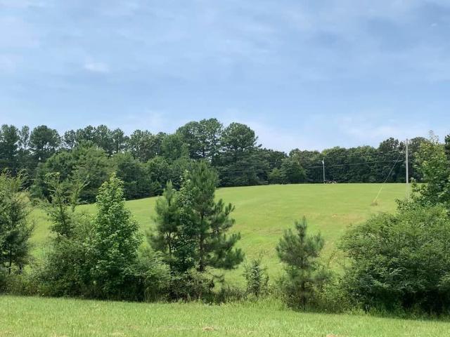 0 County Road 787