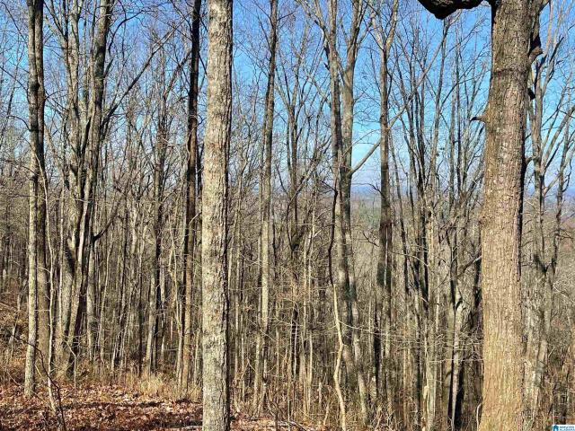 0 County Road 852 # 1