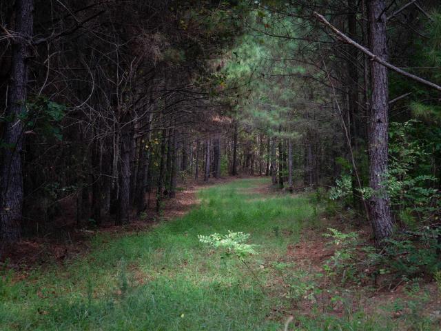 0 County Road 87 # 4