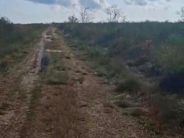 0 County Road 807
