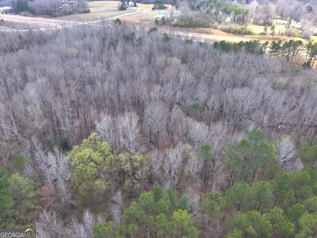 0 County Road 81