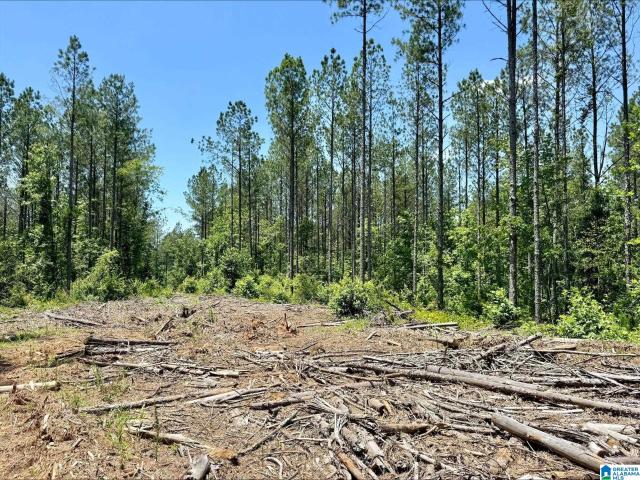 0 County Road 82 # 15 Acres