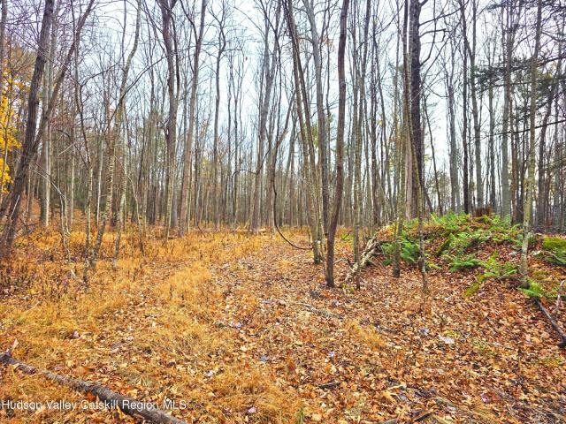 0 County Route 41, Freehold, NY 12431 | MLS #20255