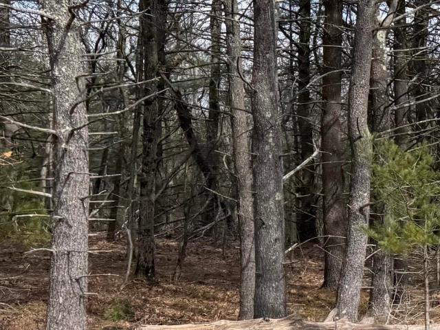 0 County Rt 312