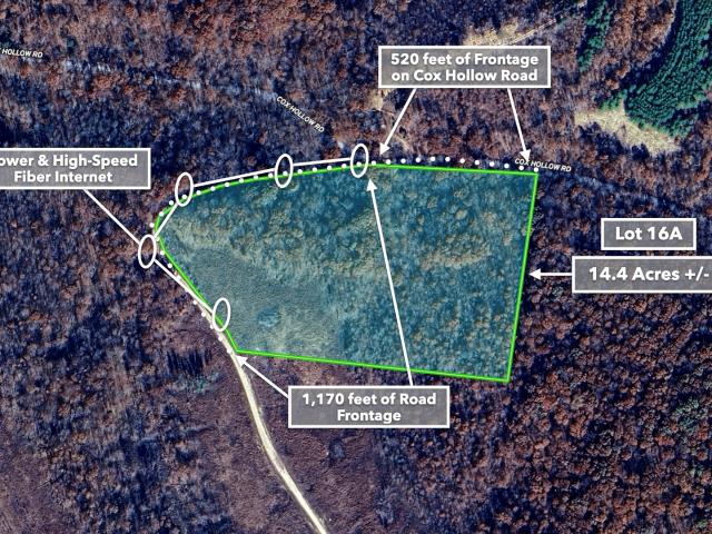 0 Cox Hollow