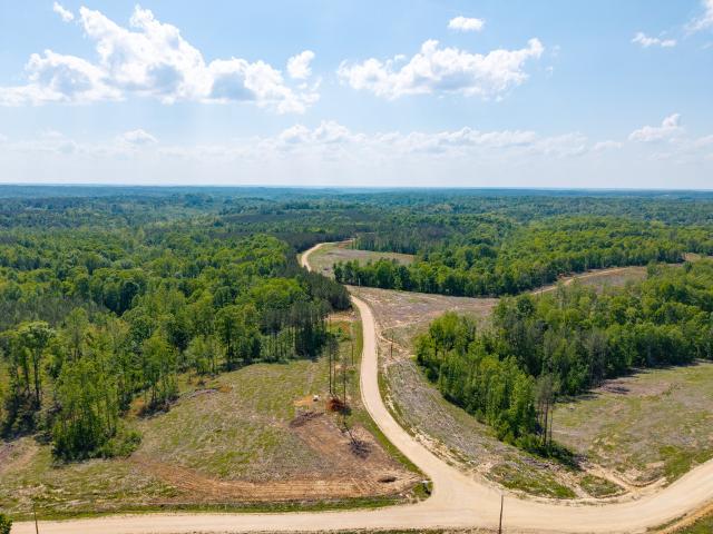 0 Cox Hollow