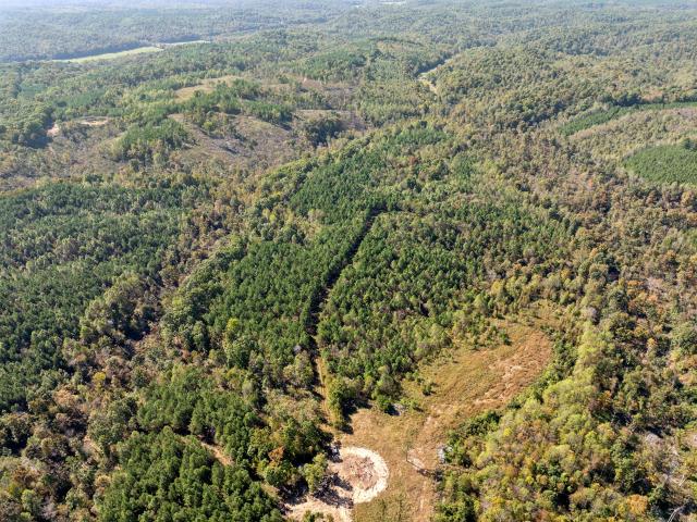 0 Cox Hollow Lot 43A & 43B