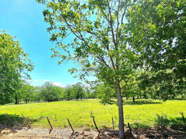 0 Cr 153 Boling, TX 77420 | MLS #95492