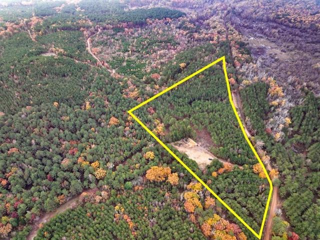 0 Cr 1651 Avinger, TX 75630 | MLS #20219