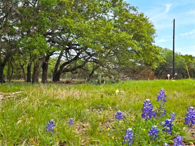 0 Cr 206 Lampasas, TX 76550 | MLS #1467