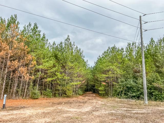 0 Cr 2307 Moss Hill, Cleveland, TX 77327 | MLS #75646