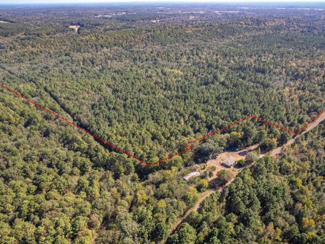 0 Cr 352 Winona, TX 75792 | MLS #25000