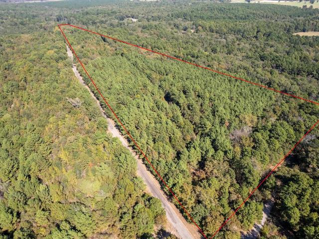 0 Cr 359 Winona, TX 75792 | MLS #24014
