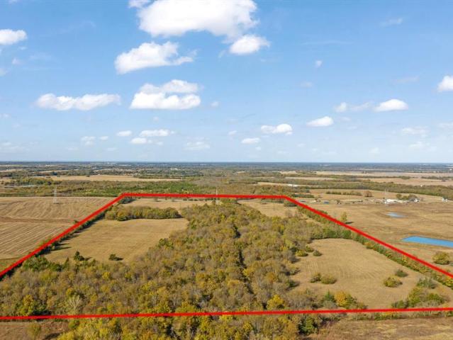 0 Cr 36010, Honey Grove, TX 75446 | MLS #21111