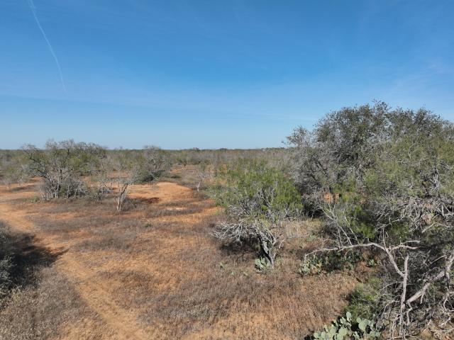 0 Cr 307, Jourdanton, TX 78026 | MLS #1928 | Compass