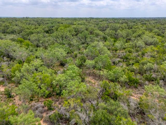 0 Cr 332 A, Jourdanton, TX 78026 | MLS #1876
