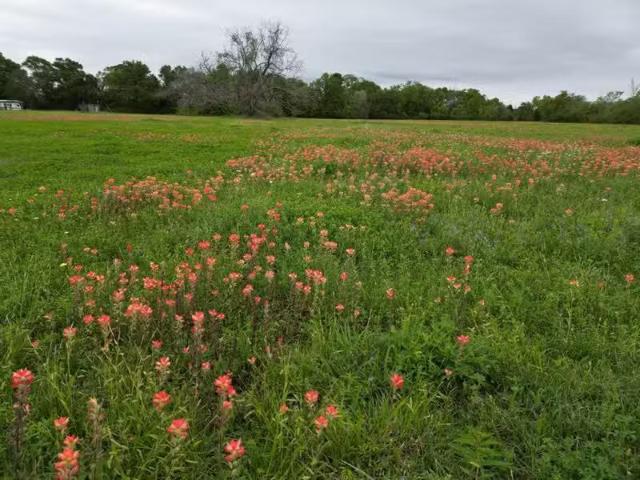 0 Cr 700, Brazoria, TX 77422