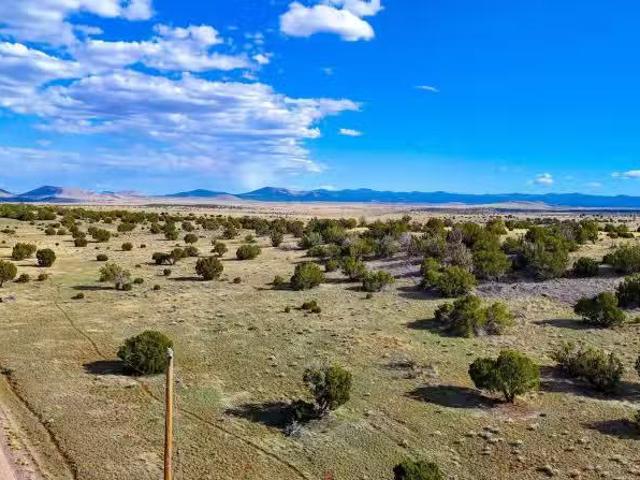 0 Cr 8643 Lot 167 6 Acres, Concho, AZ 85924 MLS 253657