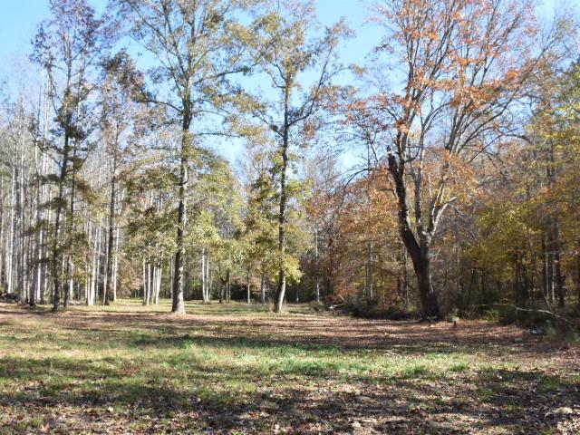 0 Creek Run # 16