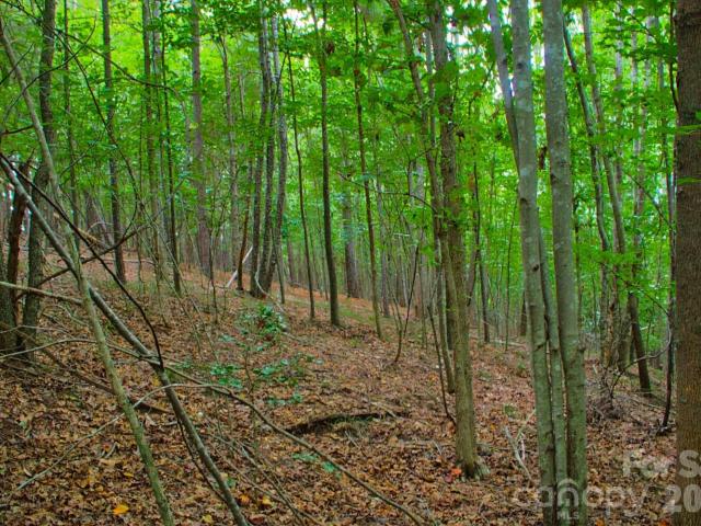 0 Creekside Circle # 110