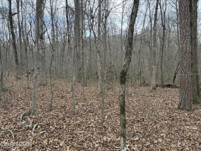 0 Crest Rd