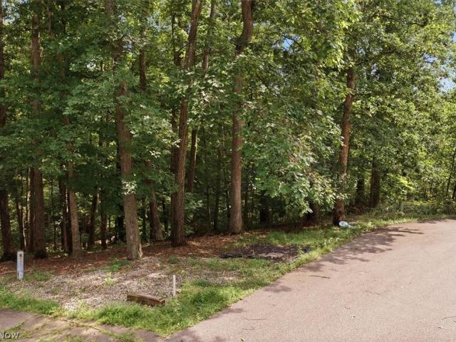 0 Crestwood Court