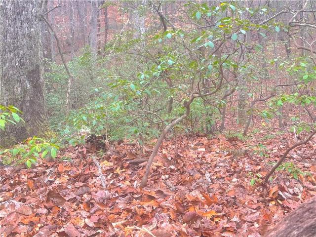0 Crooked Creek, Jasper, GA 30143 | MLS #7705