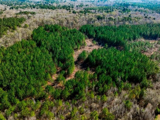 0 Crooked Road TRACT 1