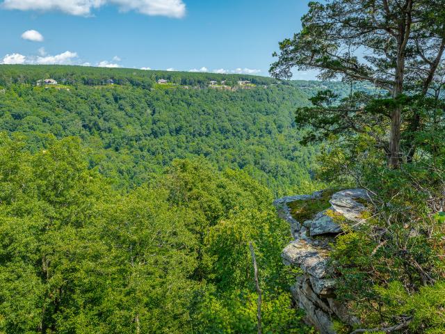 0 Crockett Loop