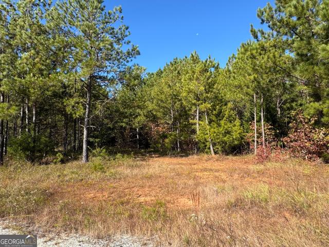 0 Crystal Dr, Elberton, GA 30635 | MLS #10400