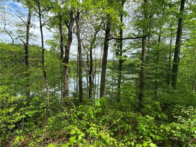 0 Crystal Lake Road Lot #36