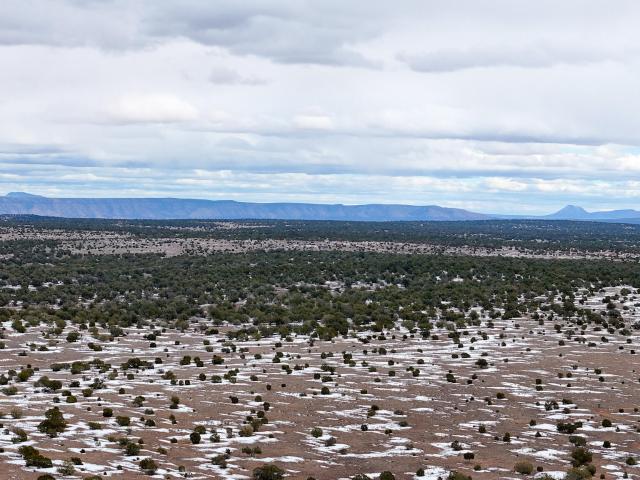 0 Dusty Rose Ranch Rd, Seligman, AZ 86337 | MLS #6995