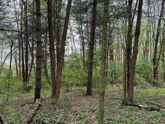 0 Dutch Lane NW, Johnstown, US, OH