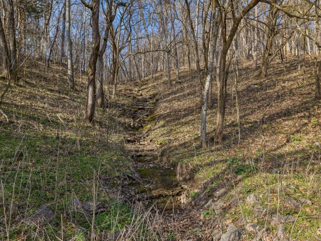 0 Dyer Branch Rd, Carthage, TN 37030 | MLS #3208
