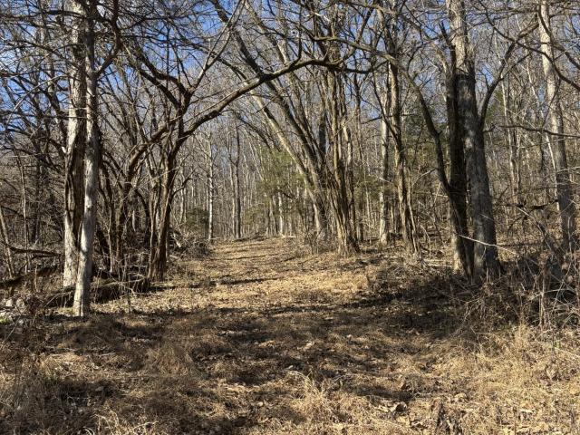 0 Dyer Branch Road