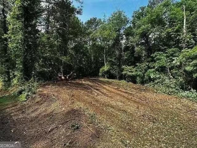 0 Damascus Rd, Ball Ground, GA 30107 MLS 10351796