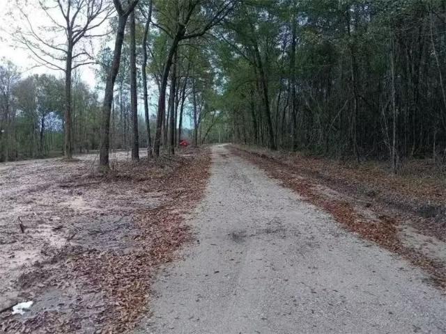 0 DAN CHURCHMAN ROAD, AXIS, AL 36505 Vacant Land For Sale MLS.