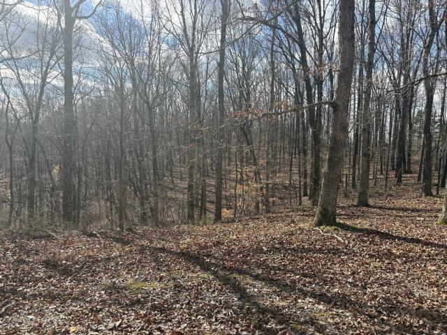 0 Daniel Rd