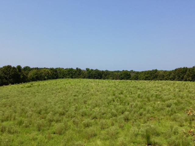 0 Danville Road