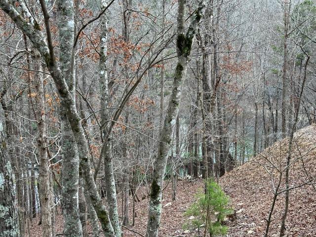 0 Dawn Ln, Ellijay, GA 30540 | MLS #402071