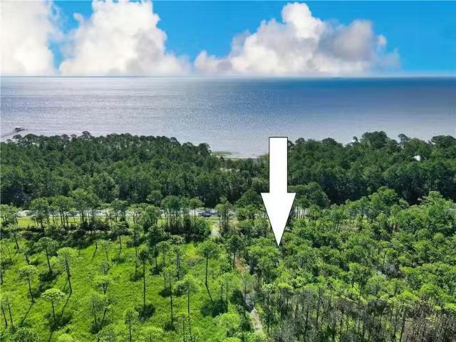 0 DAUPHIN ISLAND PARKWAY, CODEN, AL 36523 Vacant Land For Sale.