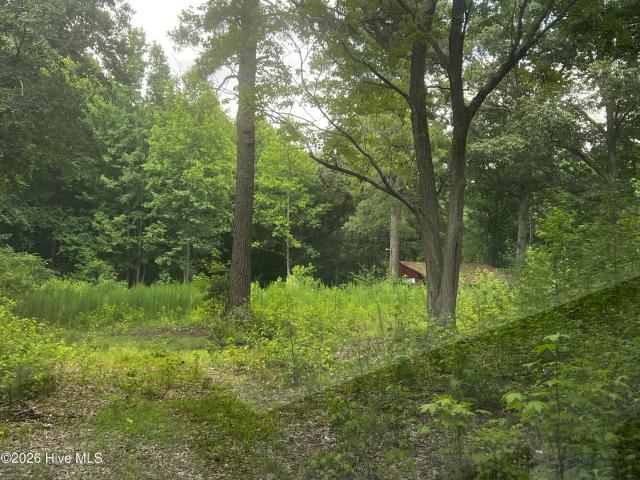 0 Davenport Country Lane