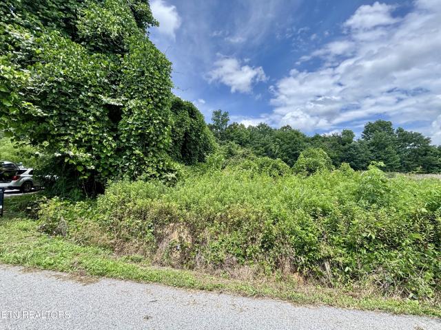 0 Davis Hollow Rd