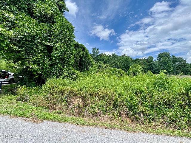 0 Davis Hollow Rd