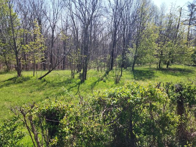 0 Davis Hollow Rd