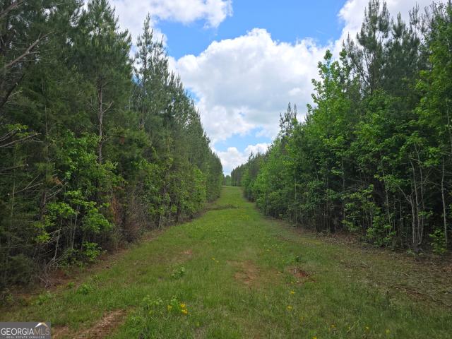 0 Davis Lake Road