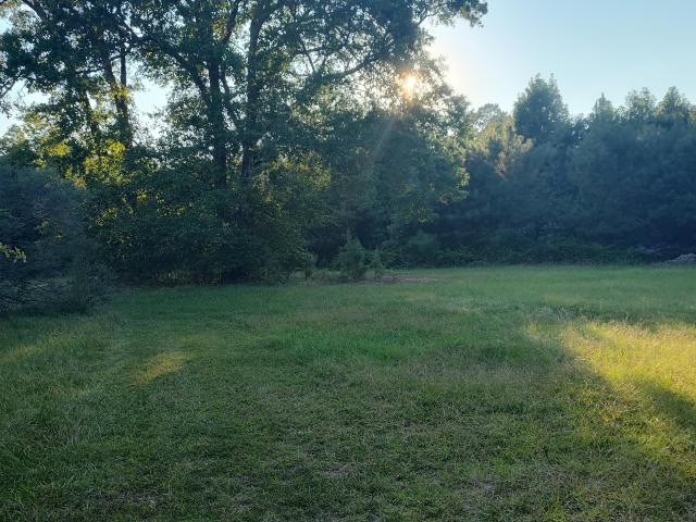 0 Davis Ter, St. George, SC 29477 | MLS #25025 | Compass
